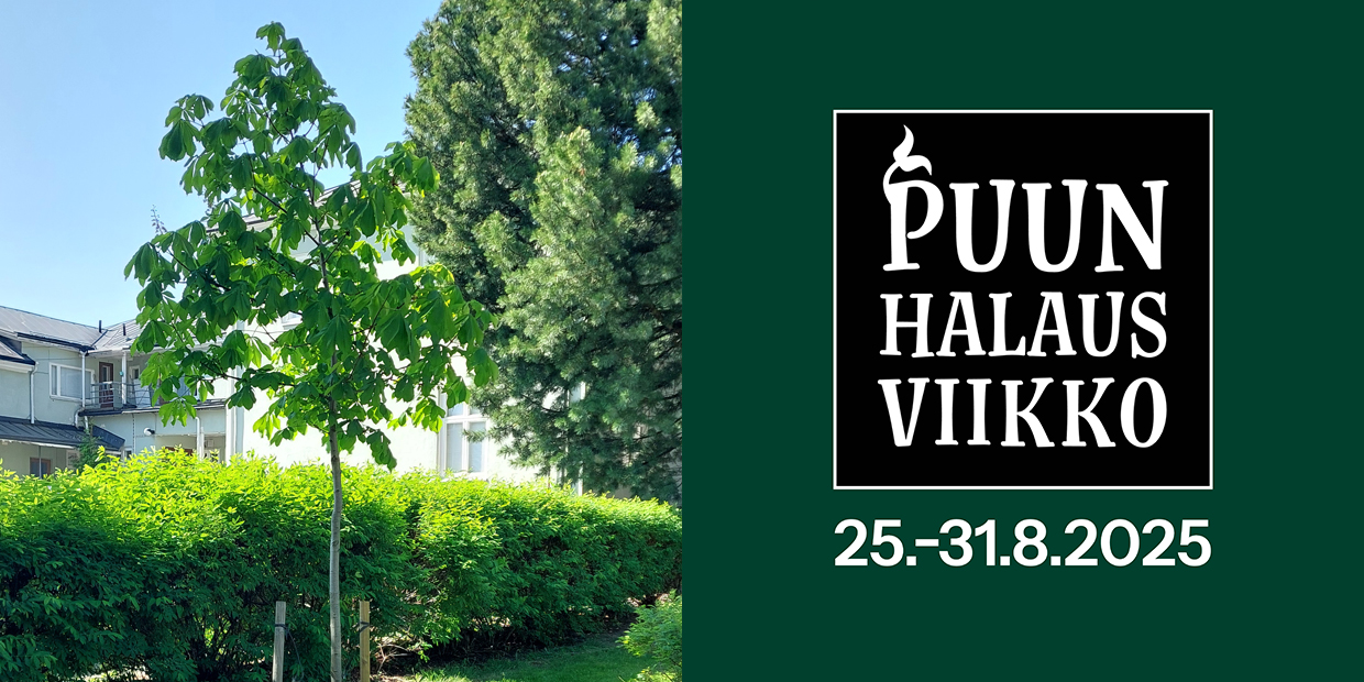 Lahja, hevoskastanja – Viherympäristö-lehti